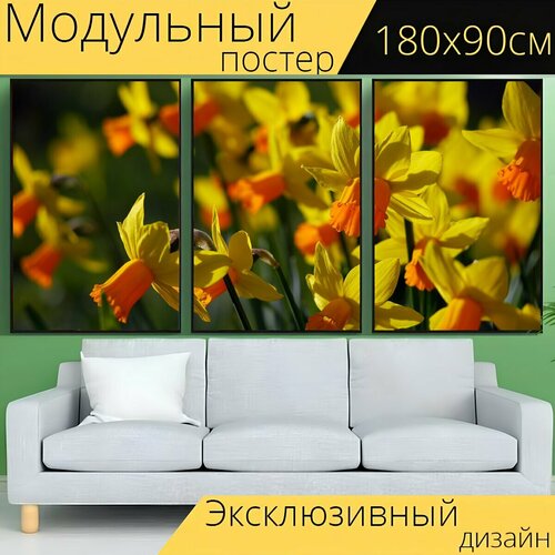 Модульный постер "Нарциссы, желтый, цветы" 180 x 90 см. для интерьера