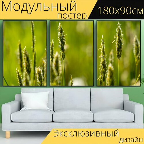 Модульный постер "Трава, цветоносы, природа" 180 x 90 см. для интерьера