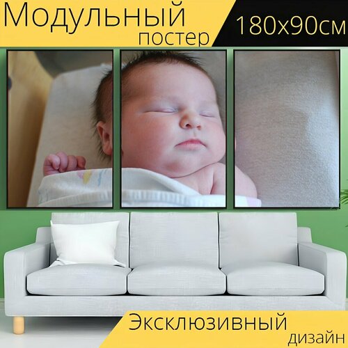 Модульный постер "Детка, новорожденный, спать" 180 x 90 см. для интерьера