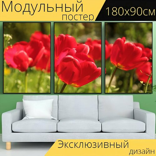 Модульный постер "Цветок, тюльпаны, красный" 180 x 90 см. для интерьера