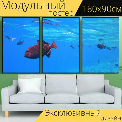 Модульный постер "Рыбы, снорклинг, отпуск" 180 x 90 см. для интерьера