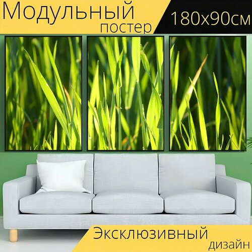 Модульный постер "Зерно, зерновое поле, рост" 180 x 90 см. для интерьера