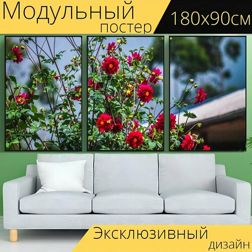 Модульный постер "Роза, красный, цветок" 180 x 90 см. для интерьера
