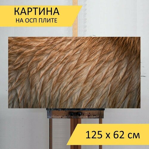 Картина на ОСП 125х62 см. "Шерсть, мокрый, собака" горизонтальная, для интерьера, с креплениями