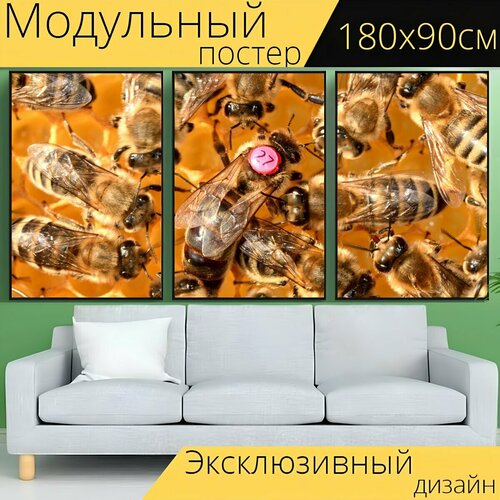 Модульный постер "Пчелы, королева, пчеловодство" 180 x 90 см. для интерьера