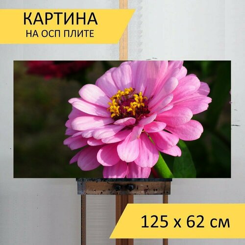 Картина на ОСП 125х62 см. "Цинния, цветок, розовый" горизонтальная, для интерьера, с креплениями