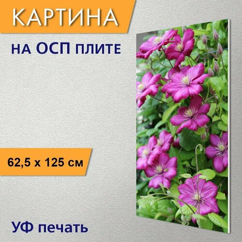 Вертикальная картина на ОСП "Клематис, расцветает, растения" 62x125 см. для интерьериа