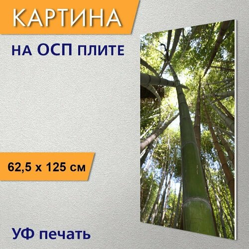 Вертикальная картина на ОСП "Бамбук, лес, тропики" 62x125 см. для интерьериа
