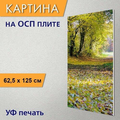 Вертикальная картина на ОСП "Падение, листья, природа" 62x125 см. для интерьериа