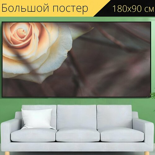 Большой постер "Роза, цветок, завод" 180 x 90 см. для интерьера