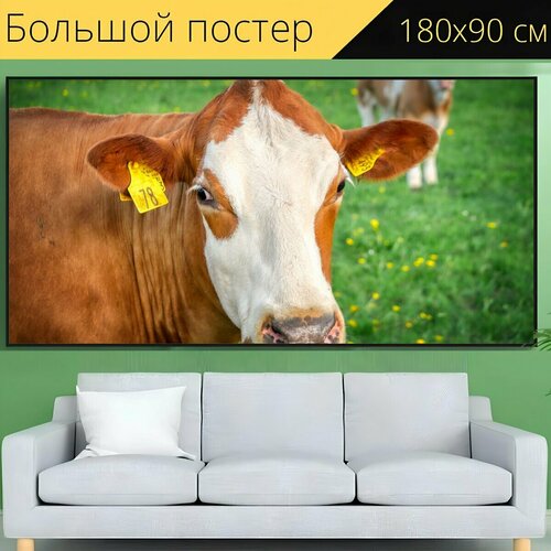 Большой постер "Корова, крупный рогатый скот, мама" 180 x 90 см. для интерьера