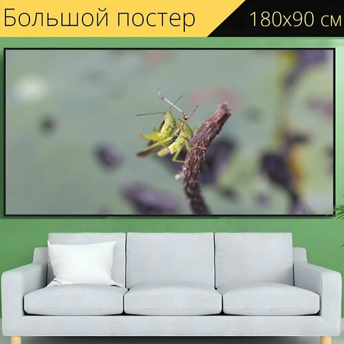Большой постер "Завод, насекомое, зеленый" 180 x 90 см. для интерьера