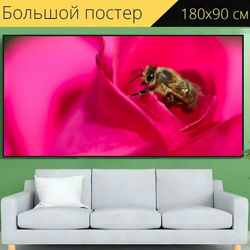 Большой постер "Роза, пчела, макрос" 180 x 90 см. для интерьера