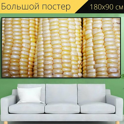 Большой постер "Кукуруза, шаблон, еда" 180 x 90 см. для интерьера