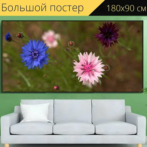 Большой постер "Васильки, цветы, природа" 180 x 90 см. для интерьера