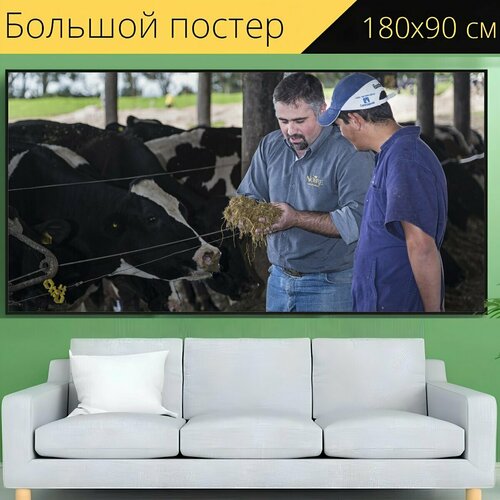 Большой постер "Молочный скот, продюсер, ферма" 180 x 90 см. для интерьера