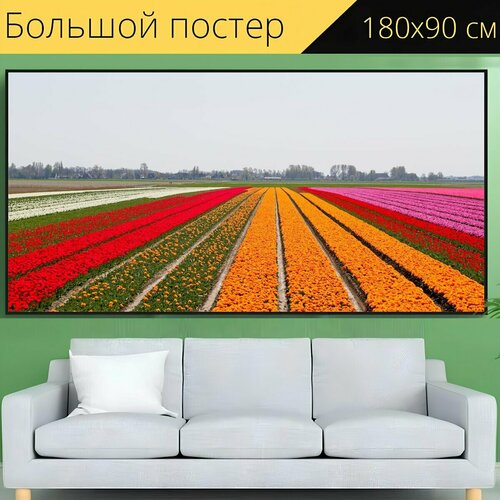 Большой постер "Луковицы, поле лампочки, тюльпаны" 180 x 90 см. для интерьера