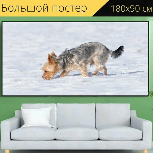 Большой постер "Собака, зима, снег" 180 x 90 см. для интерьера