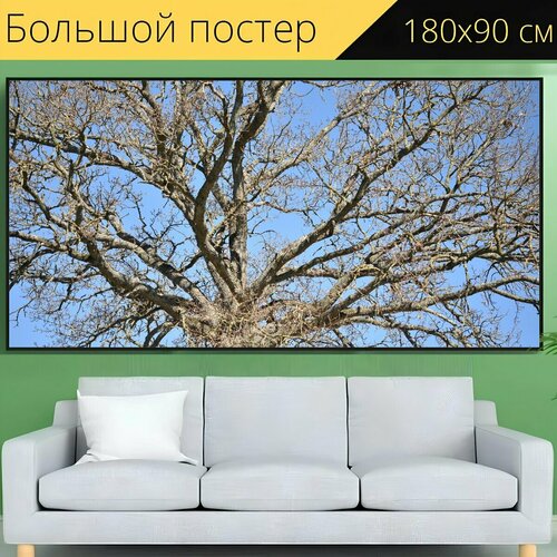 Большой постер "Дерево, ветви, природа" 180 x 90 см. для интерьера