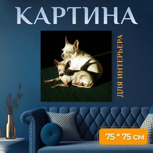 Картина на холсте "Собаки, домашние питомцы, белый" на подрамнике 75х75 см. для интерьера