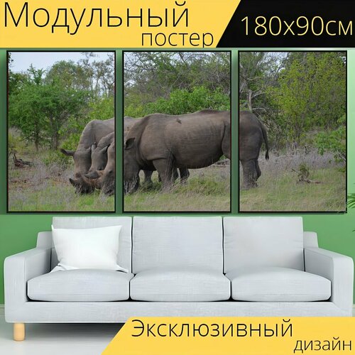 Модульный постер "Носороги, африке, пастись" 180 x 90 см. для интерьера