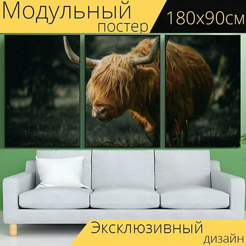 Модульный постер "Рог, крупный рогатый скот, коровы" 180 x 90 см. для интерьера