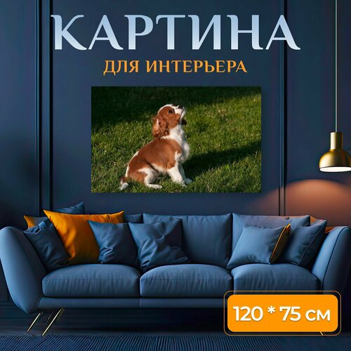 Картина на холсте "Собака, щенок, свет" на подрамнике 120х75 см. для интерьера