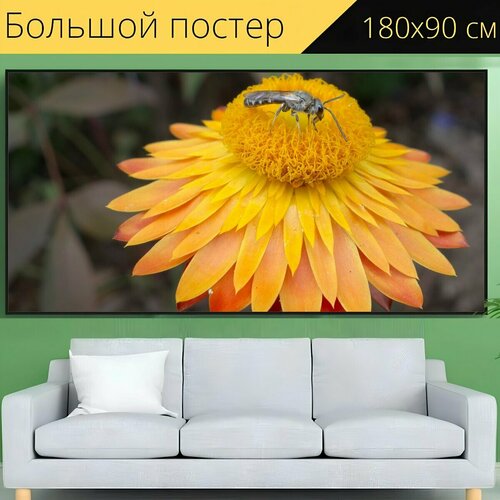 Большой постер "Соломенный цветок, летать, дикая пчела" 180 x 90 см. для интерьера