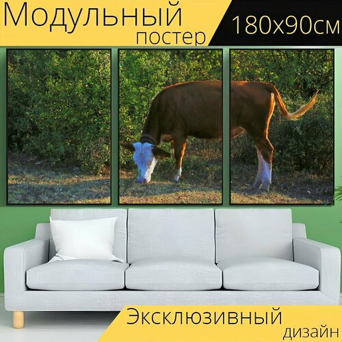 Модульный постер "Корова, животное, млекопитающее" 180 x 90 см. для интерьера
