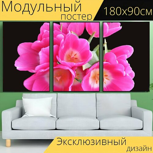 Модульный постер "Тюльпаны, букет тюльпанов, цветок" 180 x 90 см. для интерьера