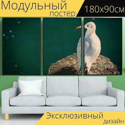Модульный постер "Природа, птица, дикая природа" 180 x 90 см. для интерьера