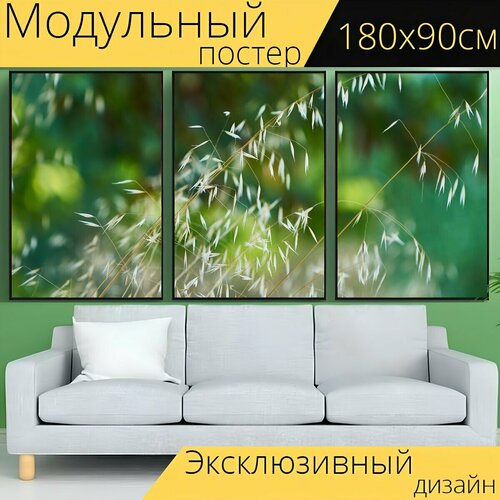 Модульный постер "Трава, лист, листья" 180 x 90 см. для интерьера