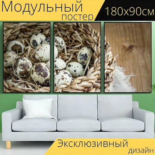 Модульный постер "Корзина, яйца, перепелиные яйца" 180 x 90 см. для интерьера