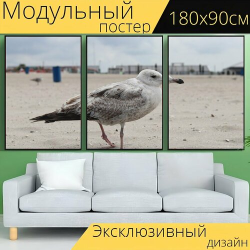 Модульный постер "Чайка, птица, пляж" 180 x 90 см. для интерьера