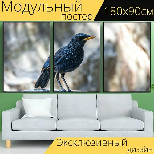 Модульный постер "Птица, животное, природа" 180 x 90 см. для интерьера