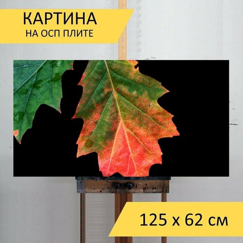 Картина на ОСП 125х62 см. "Осенние краски, листья, осенние листья" горизонтальная, для интерьера, с креплениями