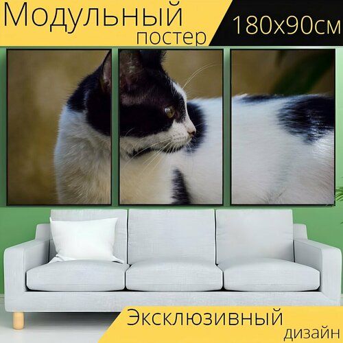 Модульный постер "Кот, талисман, кошачий" 180 x 90 см. для интерьера