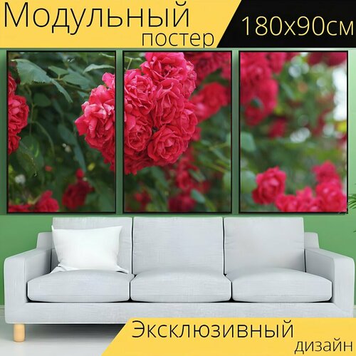 Модульный постер "Красные розы, розы куст, цветок" 180 x 90 см. для интерьера