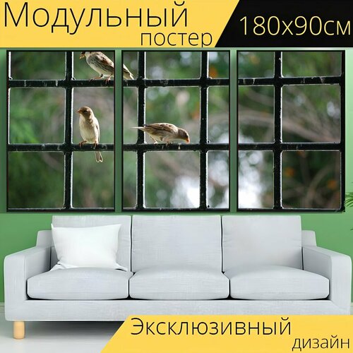 Модульный постер "Воробей, окно, птицы" 180 x 90 см. для интерьера