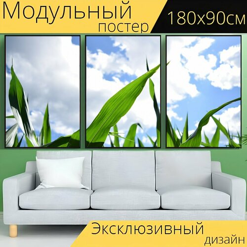 Модульный постер "Кукуруза, поле кукурузы, сельское хозяйство" 180 x 90 см. для интерьера