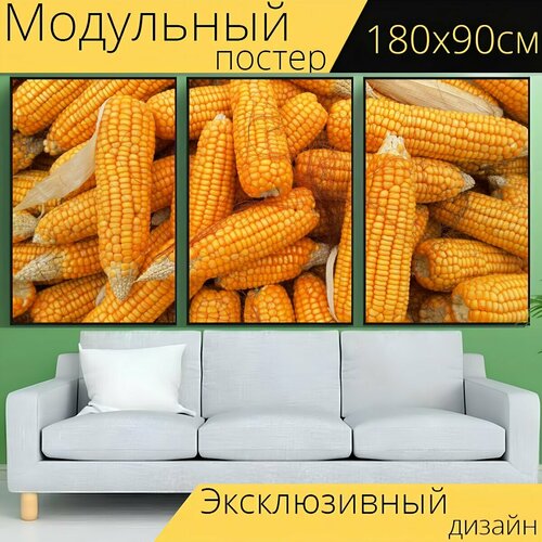 Модульный постер "Кукуруза, еда, органический" 180 x 90 см. для интерьера