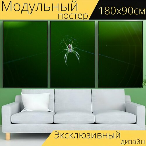 Модульный постер "Паук, сеть, паукообразный" 180 x 90 см. для интерьера