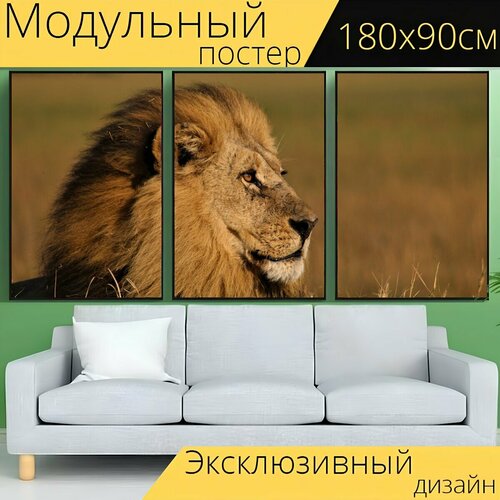 Модульный постер "Лев, мужчина лев, король джунглей" 180 x 90 см. для интерьера