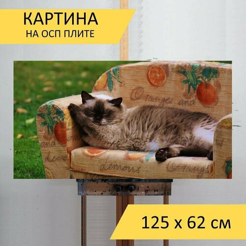 Картина на ОСП 125х62 см. "Диван, кот, британская короткошерстная кошка" горизонтальная, для интерьера, с креплениями