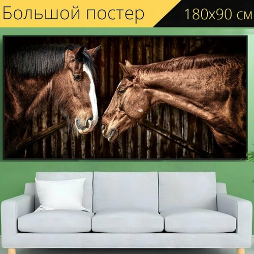 Большой постер "Лошади, дружба, конюшня" 180 x 90 см. для интерьера