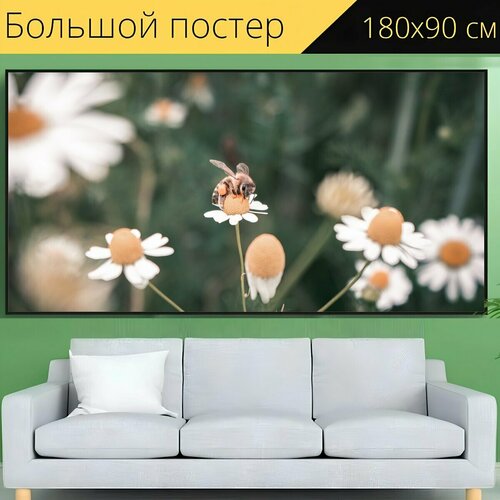 Большой постер "Пчела, цветок, насекомое" 180 x 90 см. для интерьера