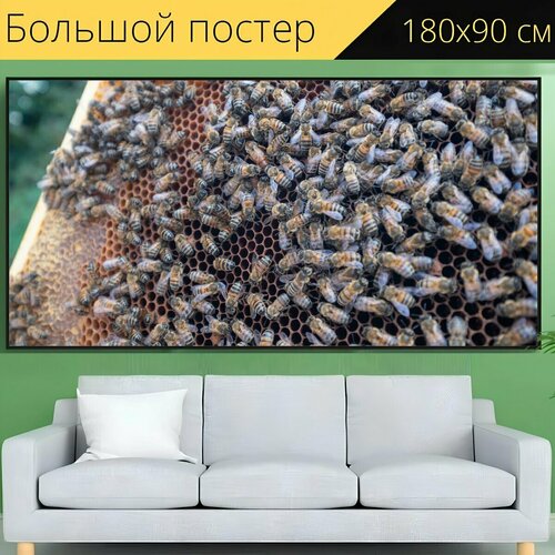 Большой постер "Пчелы, пчеловодство, мед" 180 x 90 см. для интерьера