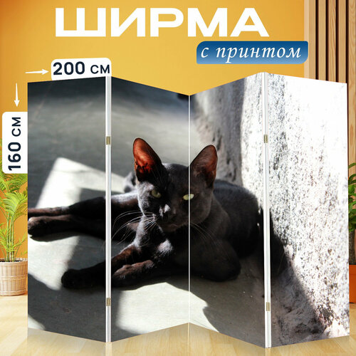 Ширма перегородка с принтом "Кошка, чернить, кошачий" на холсте - 200x160 см. для зонирования, раскладная