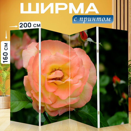 Ширма перегородка с принтом "Цветок, сад, июнь" на холсте - 200x160 см. для зонирования, раскладная