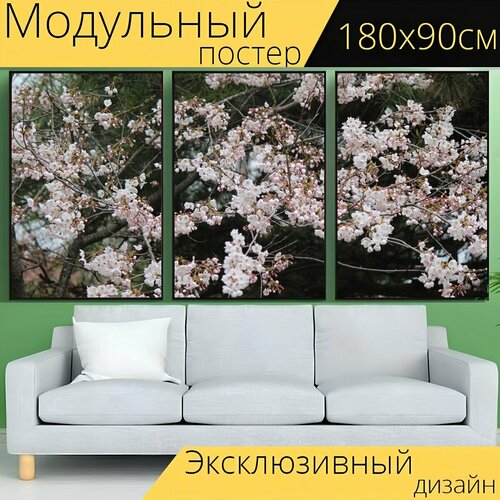 Модульный постер "Цветение вишни, весна, розовый" 180 x 90 см. для интерьера
